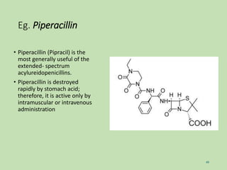 beta lactam antibiotics | PPT