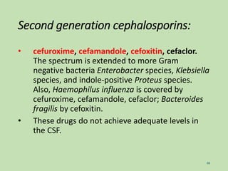 beta lactam antibiotics | PPT
