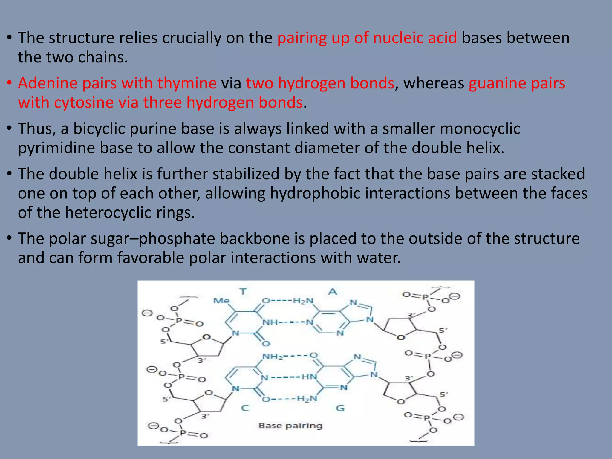 Nucleic acids: structure and function | PPTX