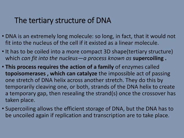 Nucleic Acids Structure And Function Pptx Chemistry Science 4643