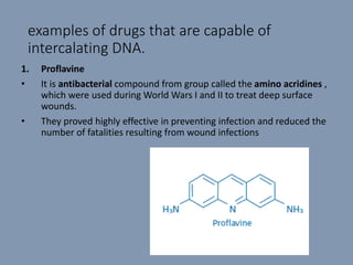Nucleic acids: structure and function | PPTX