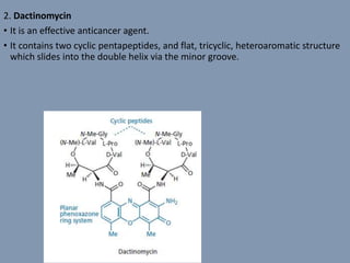 Nucleic acids: structure and function | PPTX