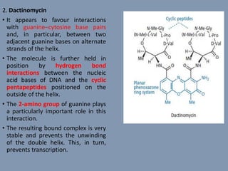 Nucleic acids: structure and function | PPTX