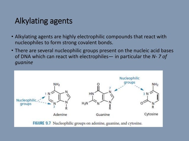 Nucleic acids: structure and function | PPTX | Chemistry | Science