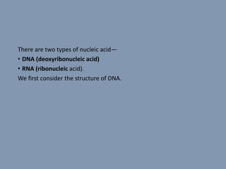 Nucleic acids: structure and function | PPTX