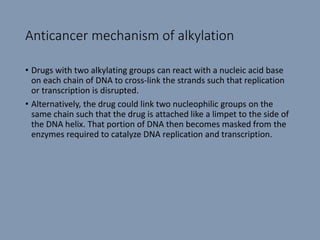 Nucleic acids: structure and function | PPTX