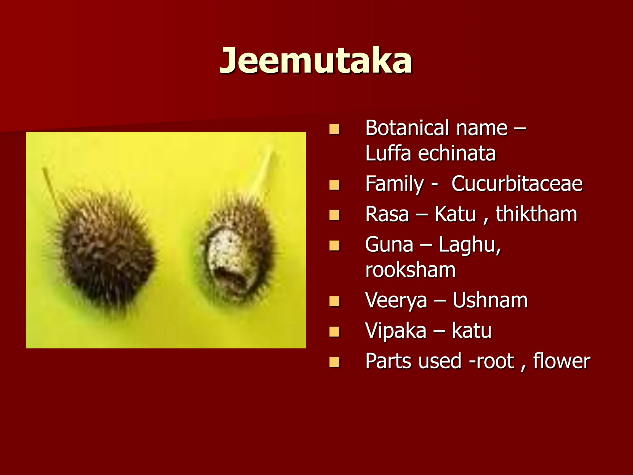 kalpa sthana charaka vamana.ppt (PPTminimizer).ppt