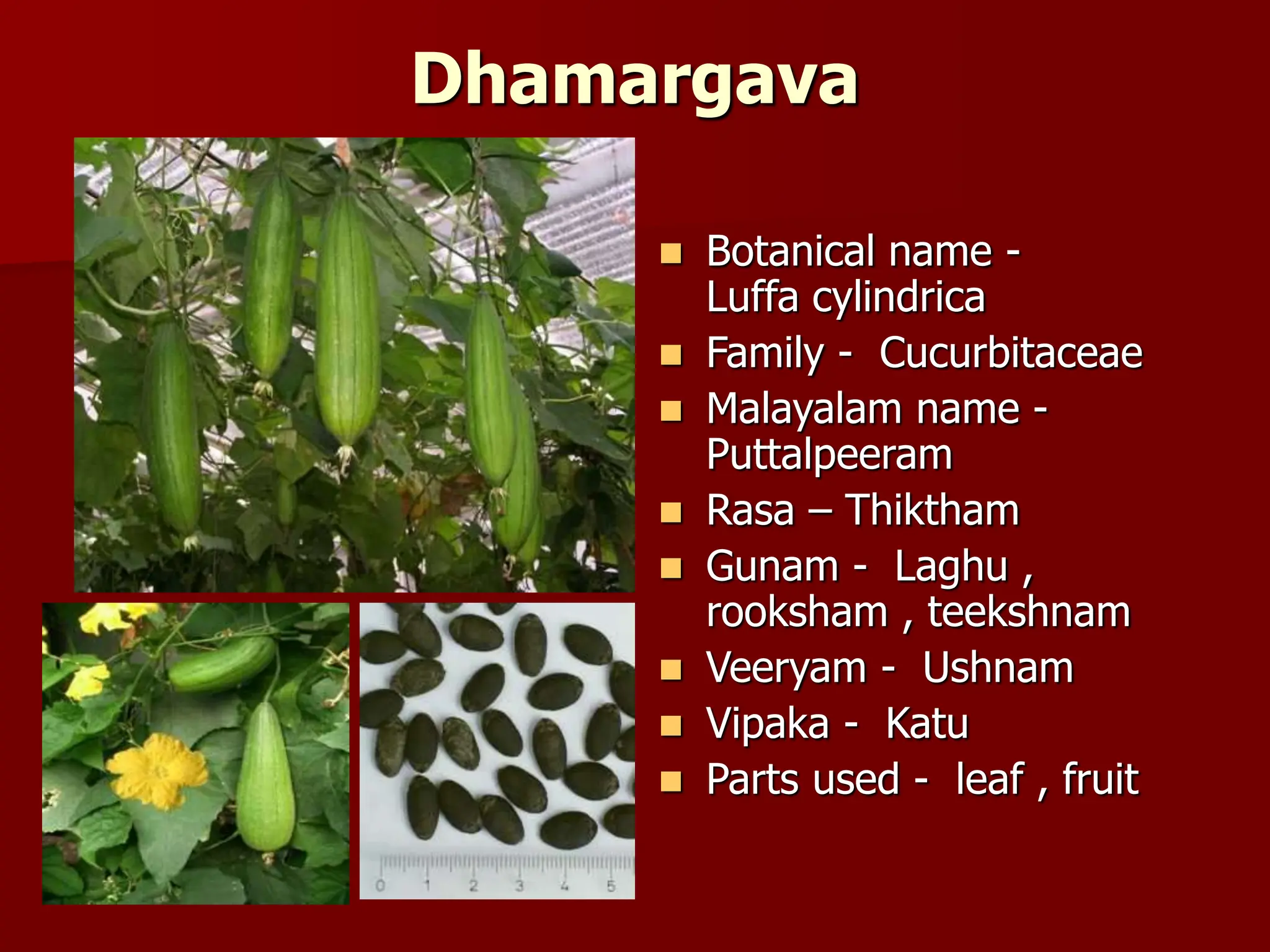 kalpa sthana charaka vamana.ppt (PPTminimizer).ppt