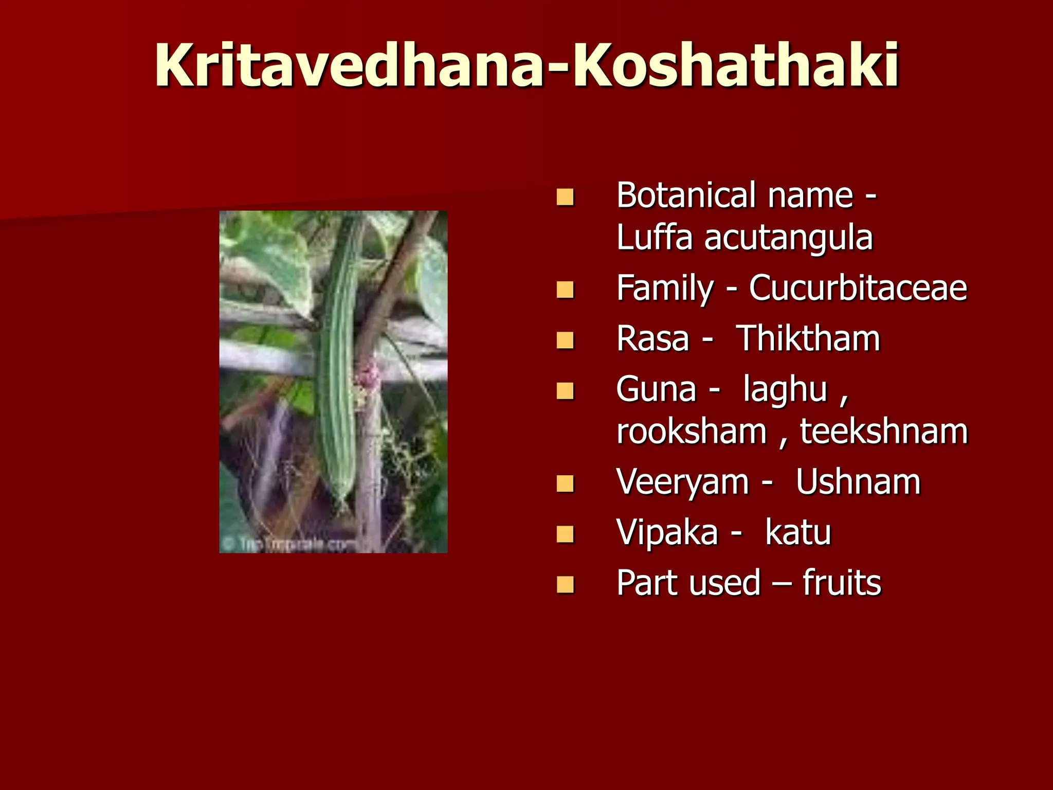 kalpa sthana charaka vamana.ppt (PPTminimizer).ppt