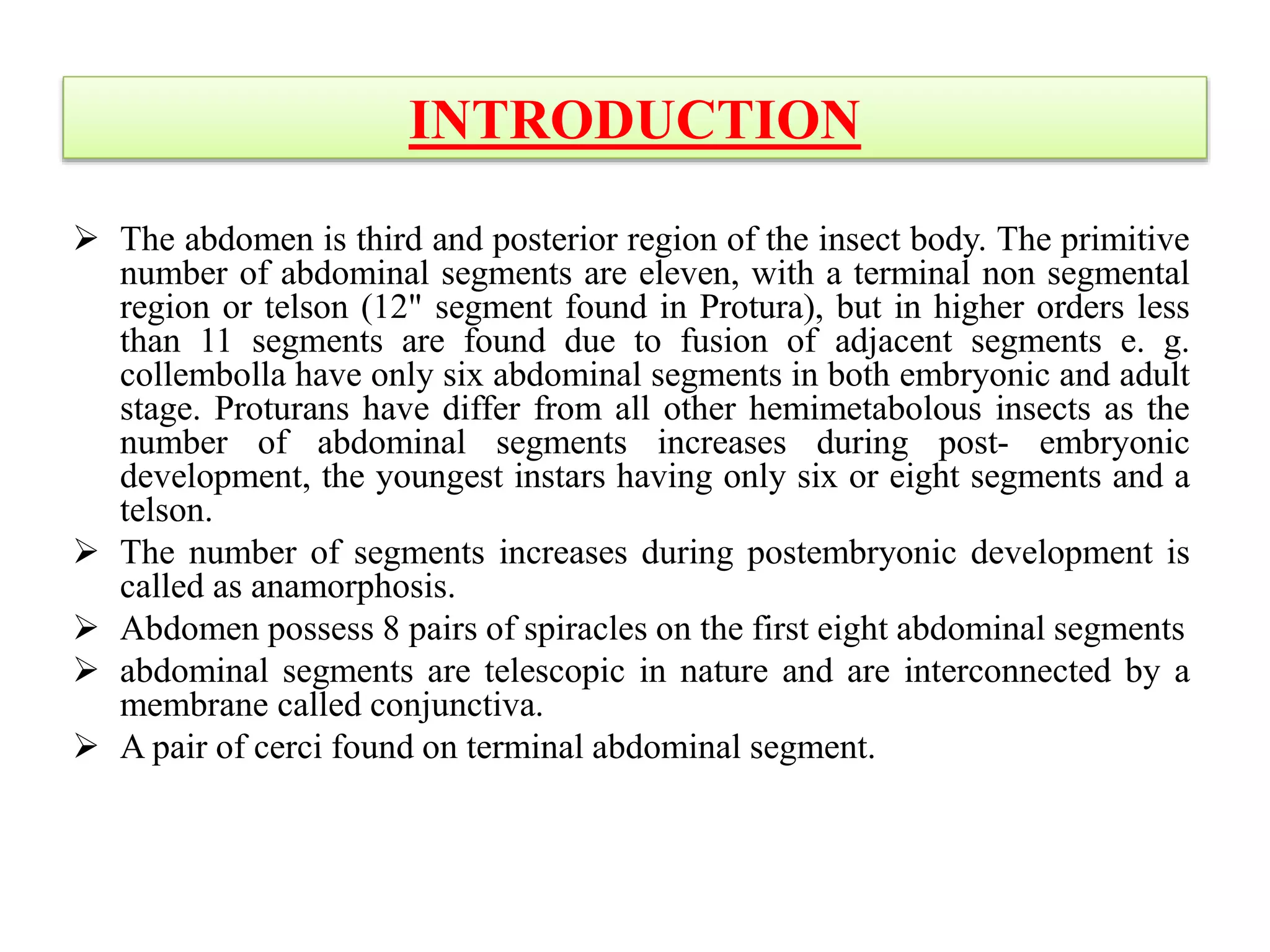 INSECT ABDOMEN:IT’S SEGMENTATION AND APPENDAGES,STRUCTURE,FUNCTION AND ...