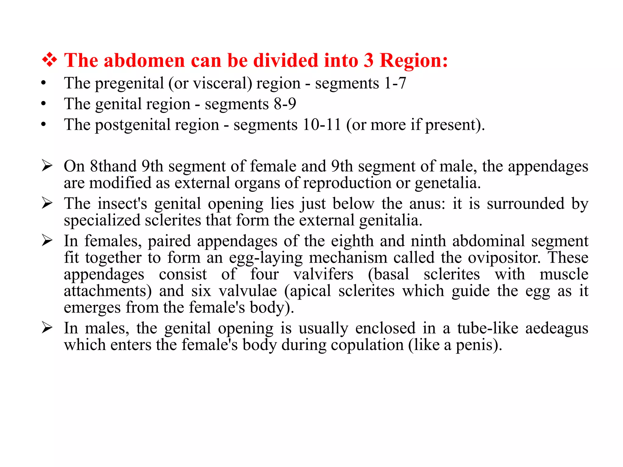 INSECT ABDOMEN:IT’S SEGMENTATION AND APPENDAGES,STRUCTURE,FUNCTION AND ...