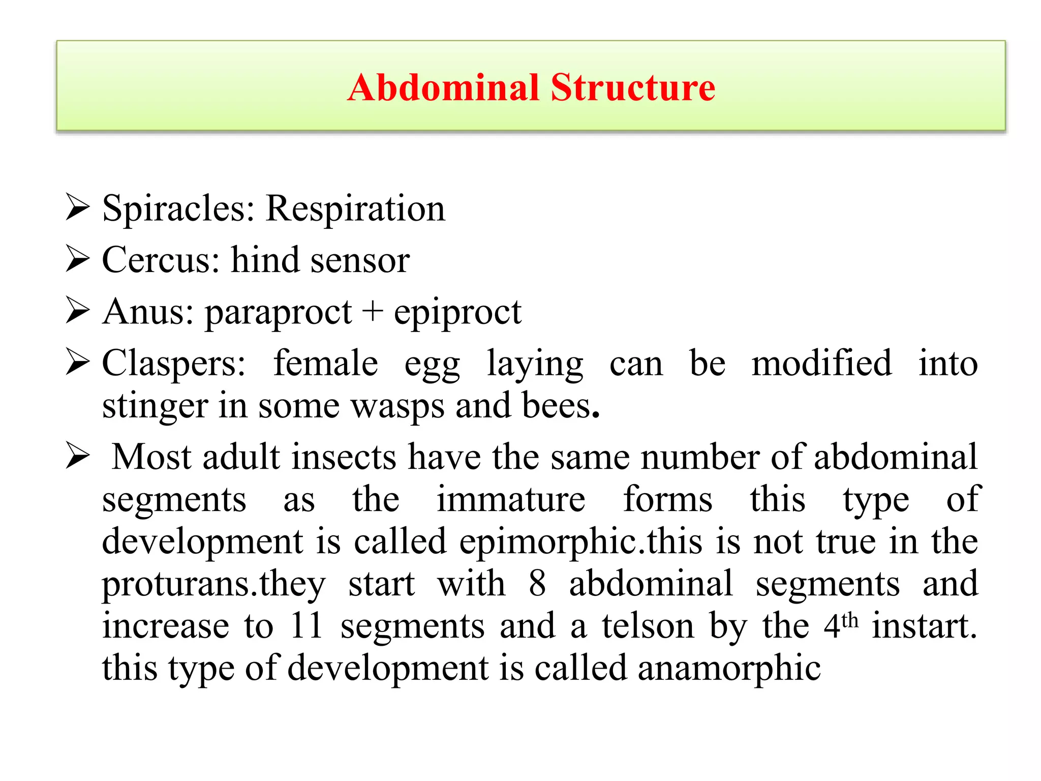 INSECT ABDOMEN:IT’S SEGMENTATION AND APPENDAGES,STRUCTURE,FUNCTION AND MODIFICATION IN DIFFERENT ...