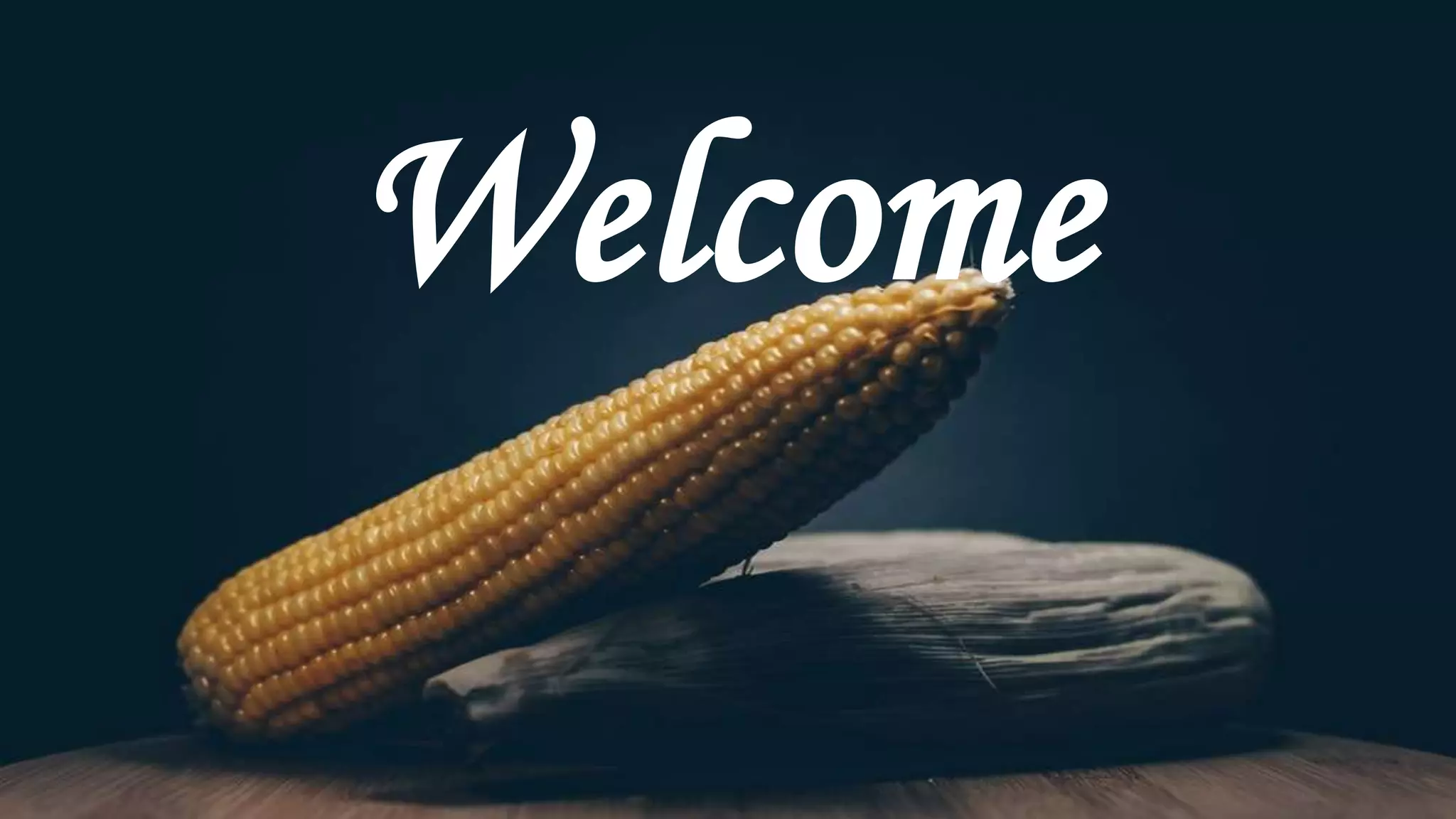 Crop Improvement in Fodder maize (Zea mays L.) for Feed Security | PPTX