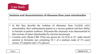 Ribosomes - Origin, Chemical composition, Structure and Function | PPTX