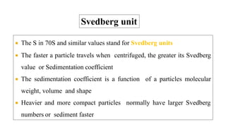 Ribosomes - Origin, Chemical composition, Structure and Function | PPTX