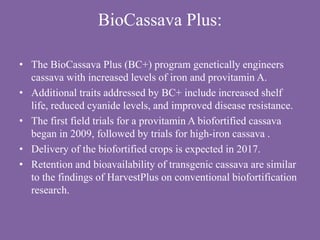 Transgenic for Bio Fortification | PPTX