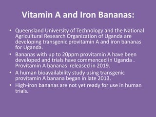 Transgenic for Bio Fortification | PPTX