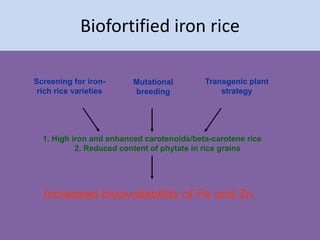 Transgenic for Bio Fortification | PPTX