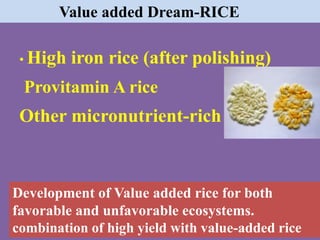 Transgenic for Bio Fortification | PPTX