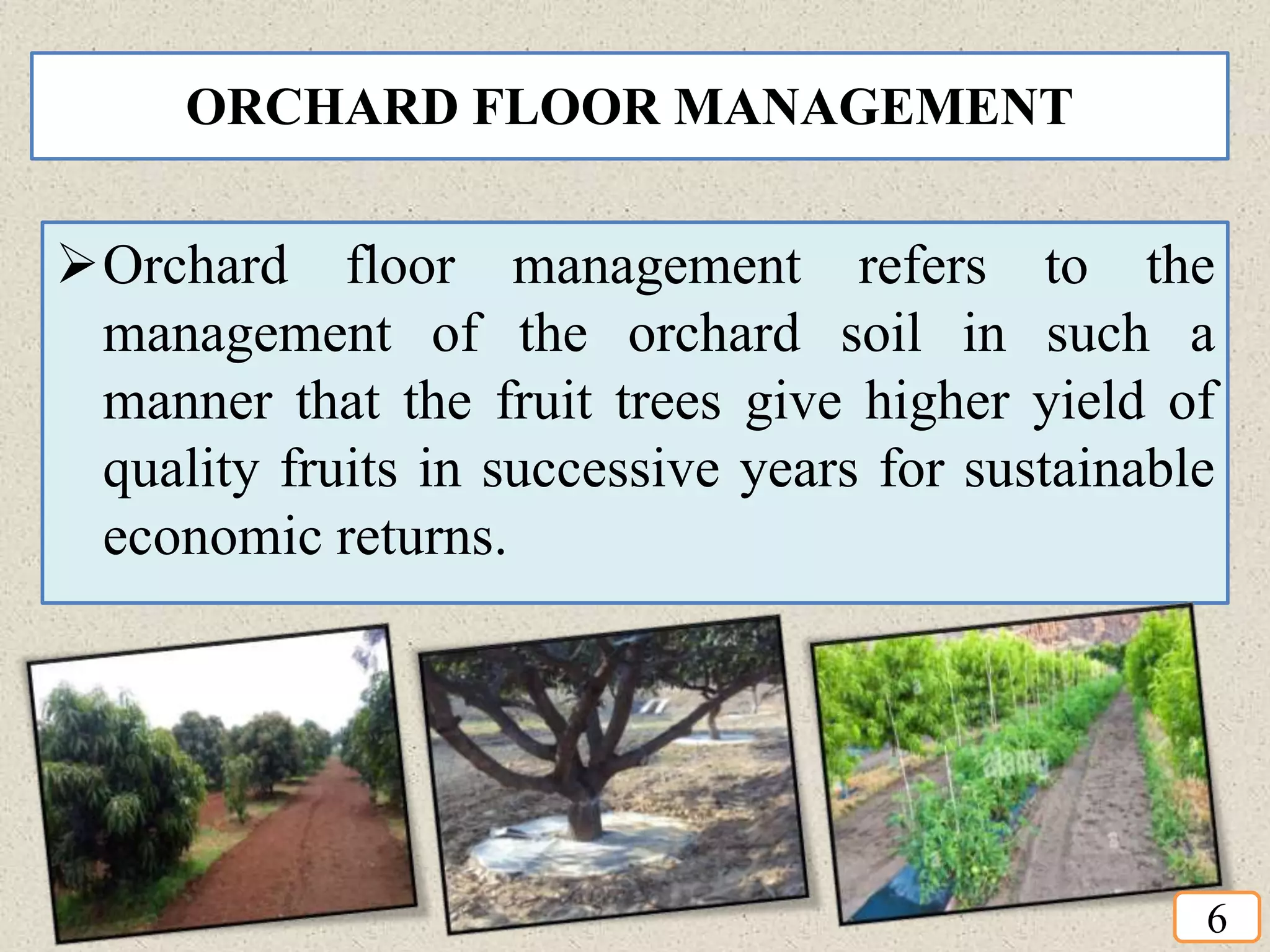 ORCHARD FLOOR MANAGEMENT | PPTX