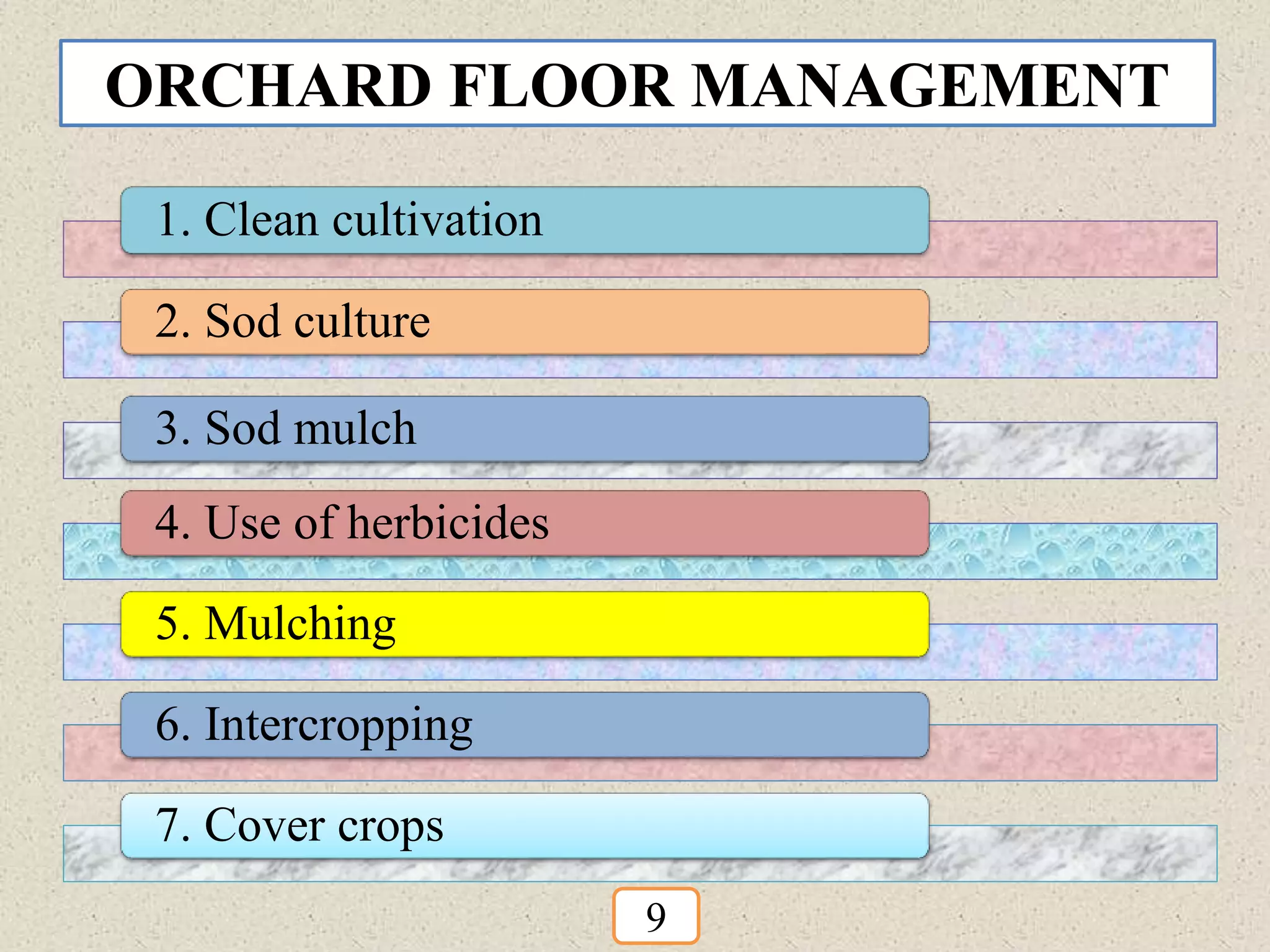 ORCHARD FLOOR MANAGEMENT | PPTX