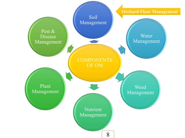 ORCHARD FLOOR MANAGEMENT | PPTX | Agriculture | Industries