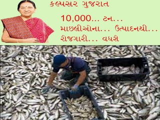 Kalpsar Gujarat SlideShare | PPSX