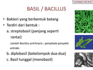 sistem klasifikasi makhluk hidup smp kelas 7 | PPT