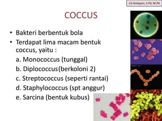 sistem klasifikasi makhluk hidup smp kelas 7 | PPT | Free Download