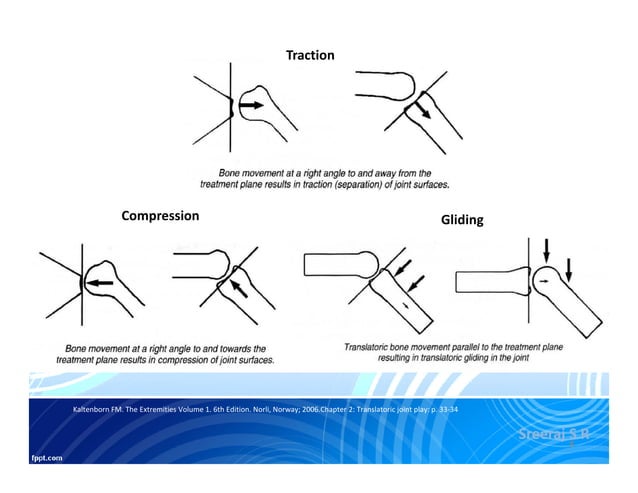 Kaltenborn manual mobilization srs