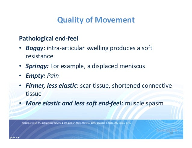 Kaltenborn manual mobilization srs
