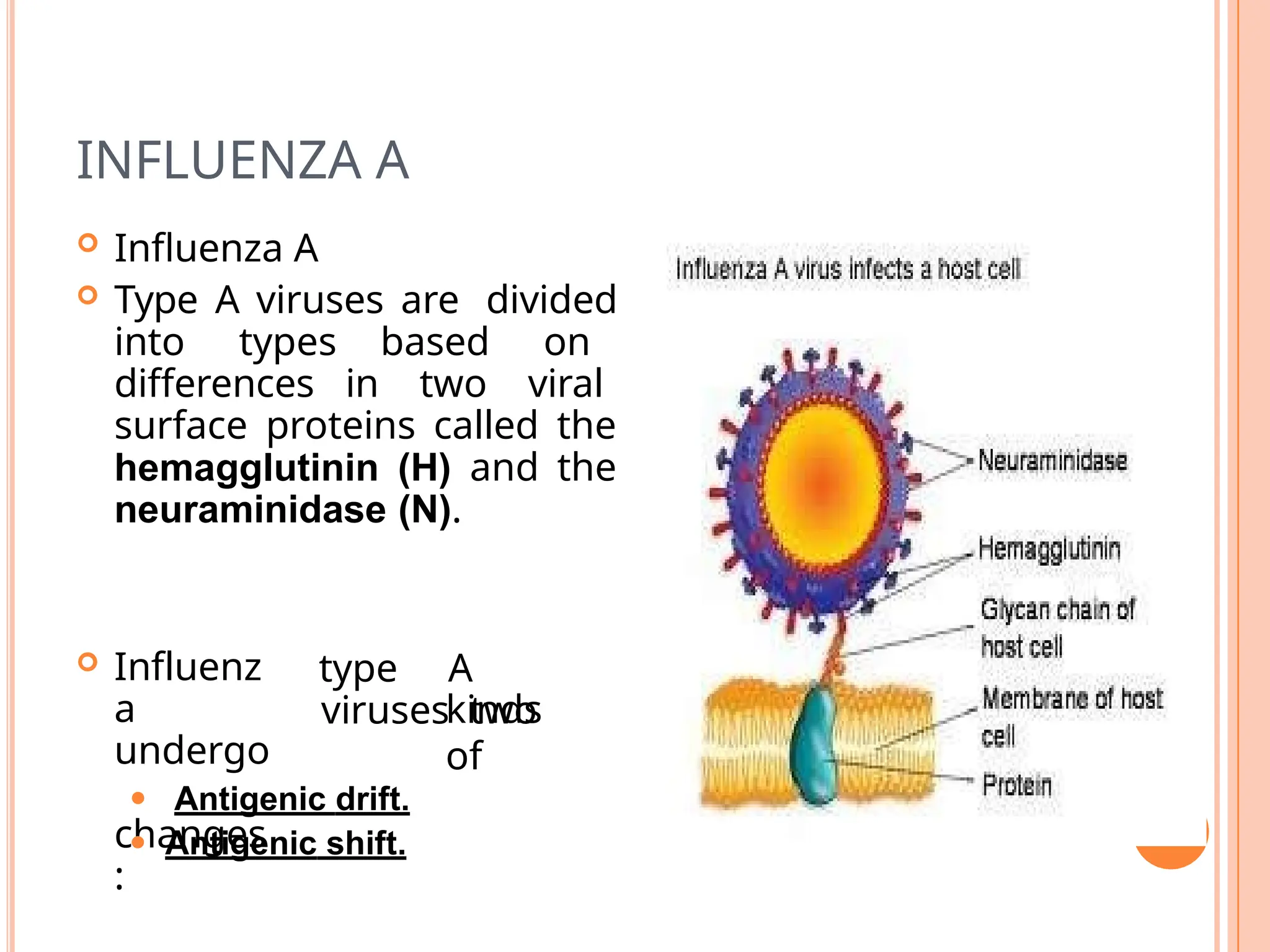 Influeza for only education only in .pptx