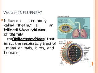Influeza for only education only in .pptx