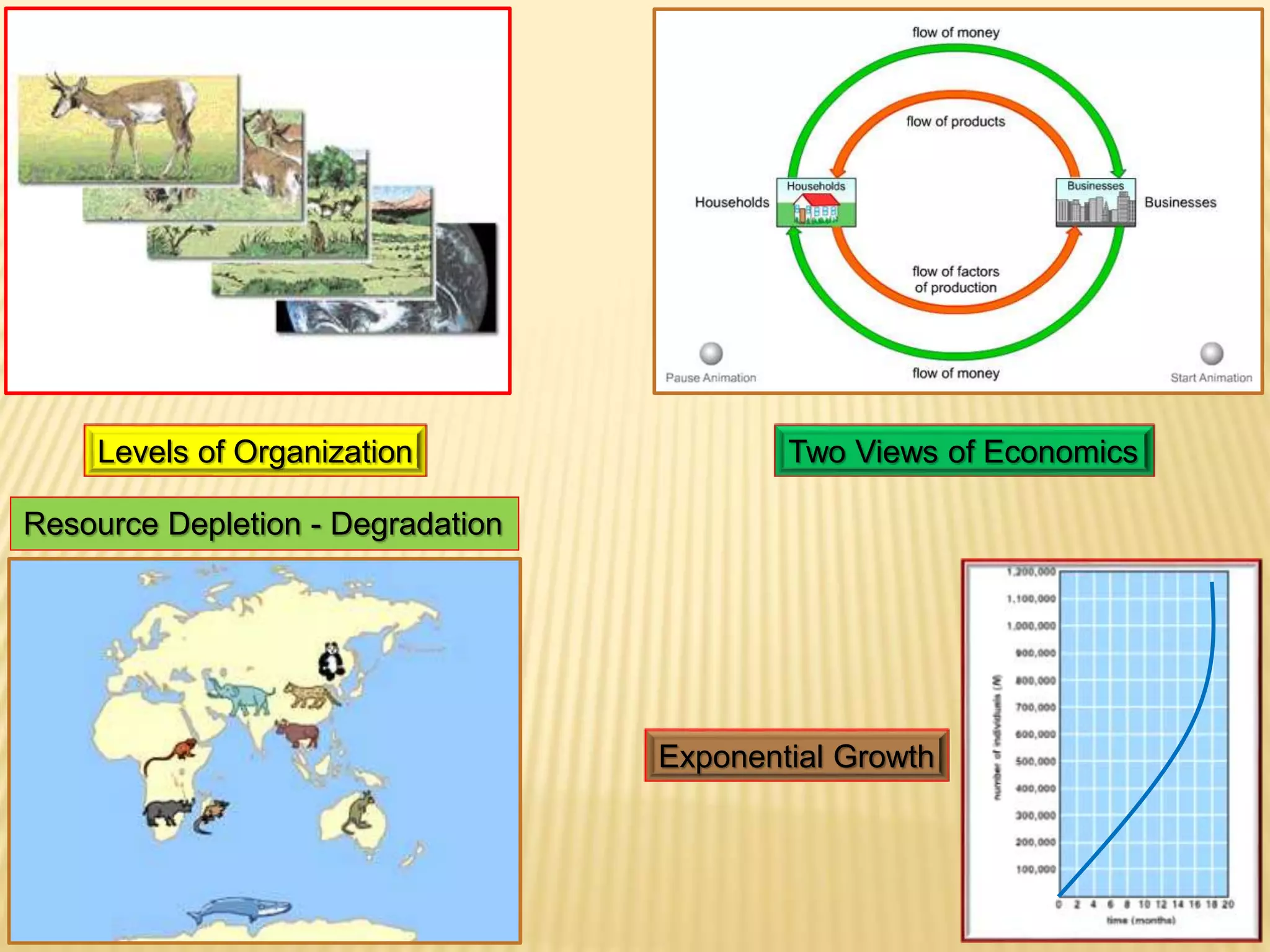 DEVELOPMENT VS ENVIRONMENT IN GEOGRAPHICAL FRAMEWORK | PPT