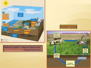 DEVELOPMENT VS ENVIRONMENT IN GEOGRAPHICAL FRAMEWORK | PPT