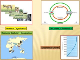 GEOGRAPHICAL DIMENSIONS OF ‘DEVELOPMENT – ENVIRONMENT INTERRELATION’ | PPTX