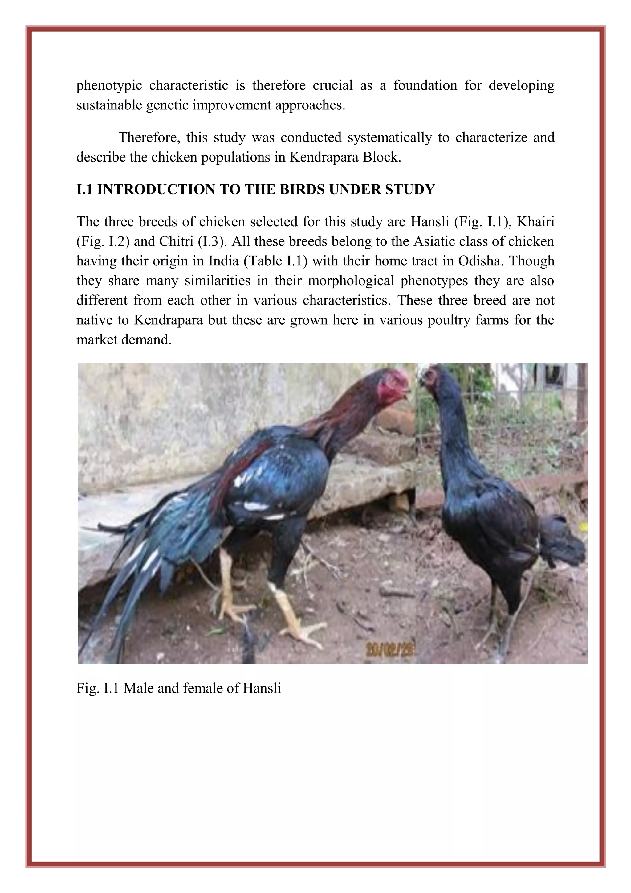 qualitative and quantitative traits of chicken | PDF