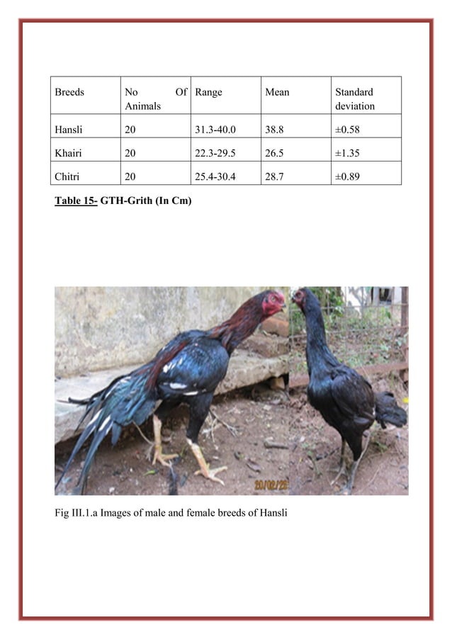 qualitative and quantitative traits of chicken | PDF