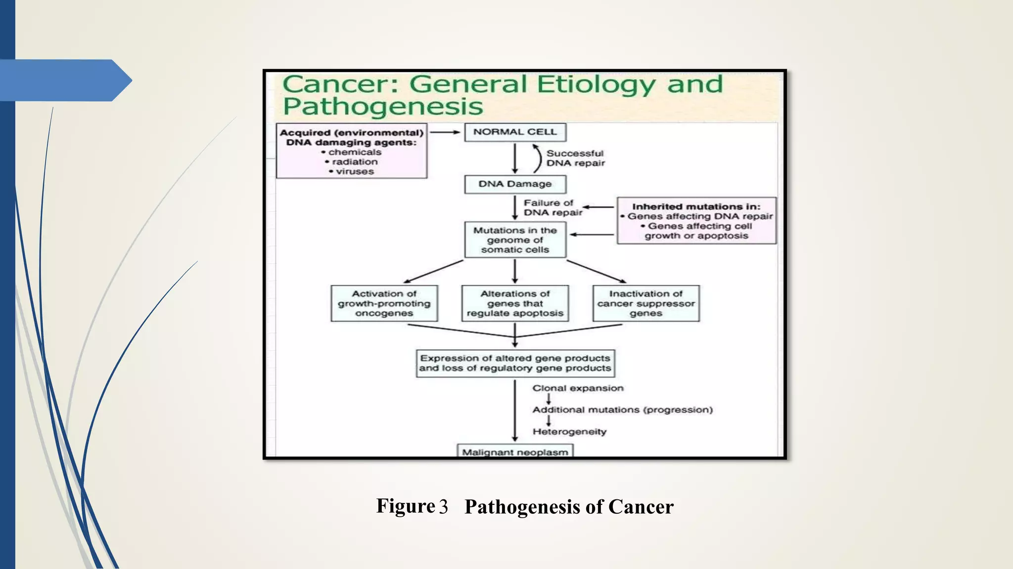 Recent advances in cancer treatment. | PPTX