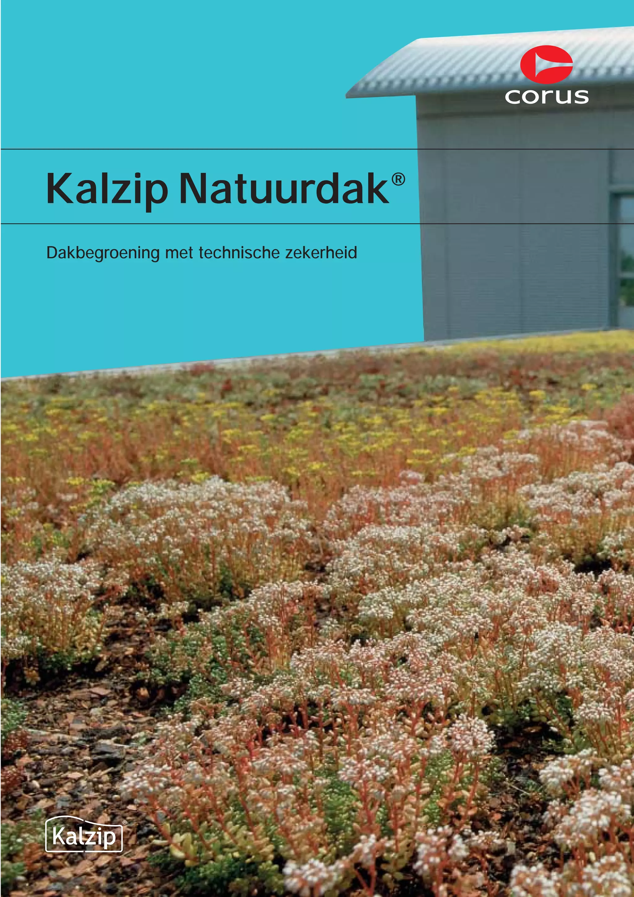 Kalzip Benelux - Natuurdak | PDF