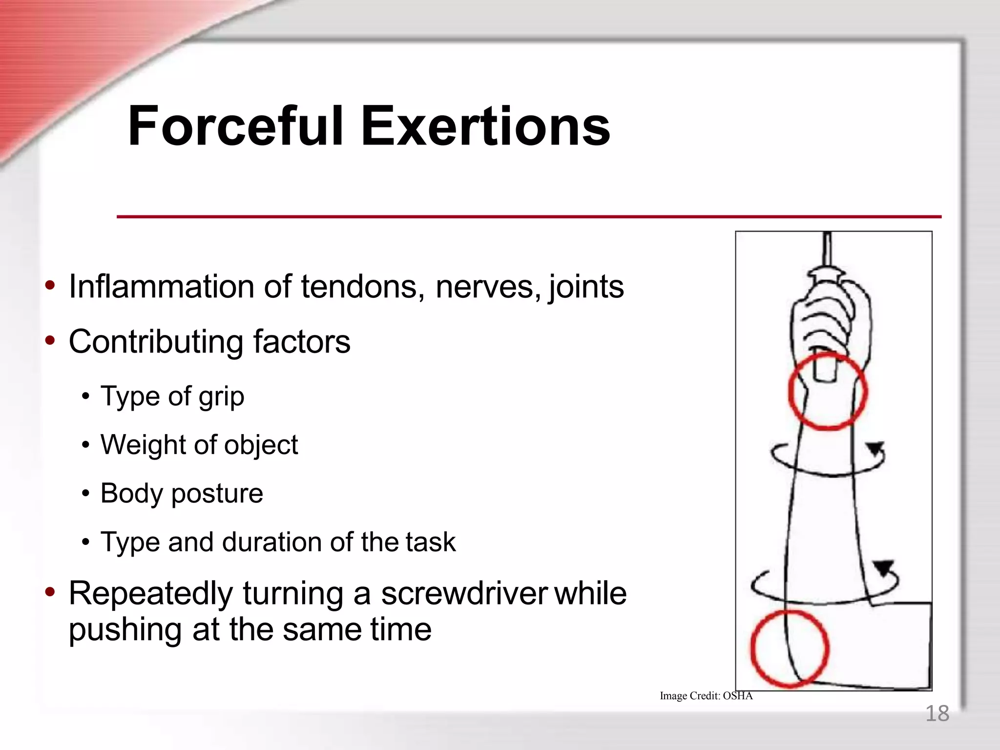 Introduction to Ergonomics | PPSX