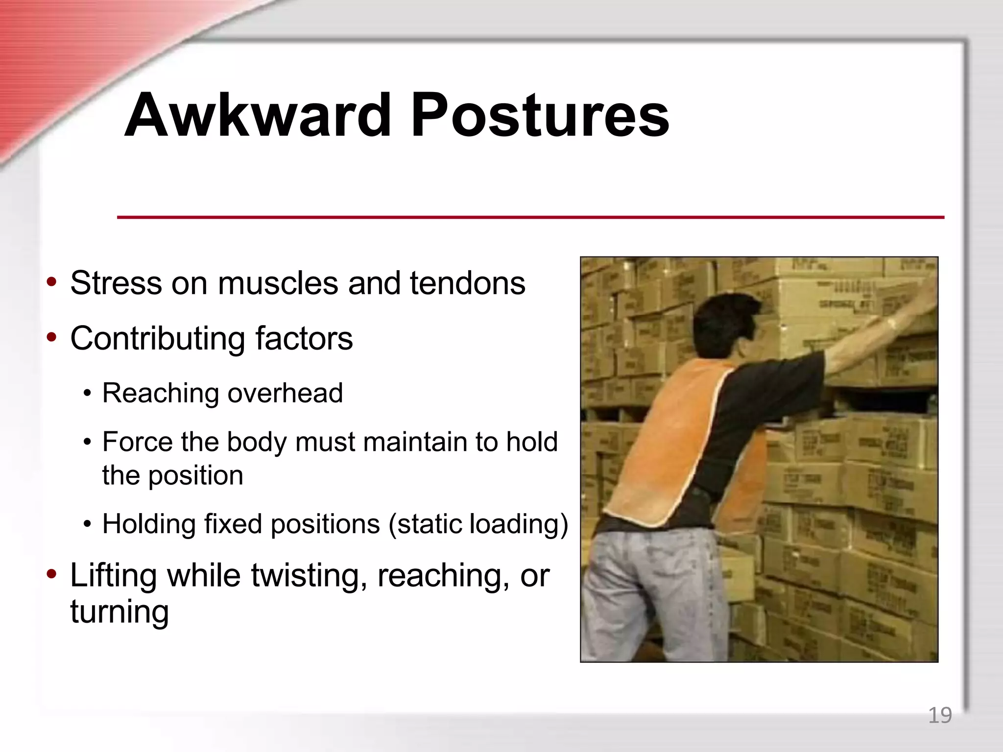Introduction to Ergonomics | PPSX