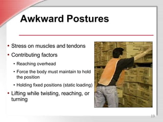 Introduction to Ergonomics | PPSX