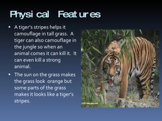 Kamal Animal Reaserch Tiger | PPT