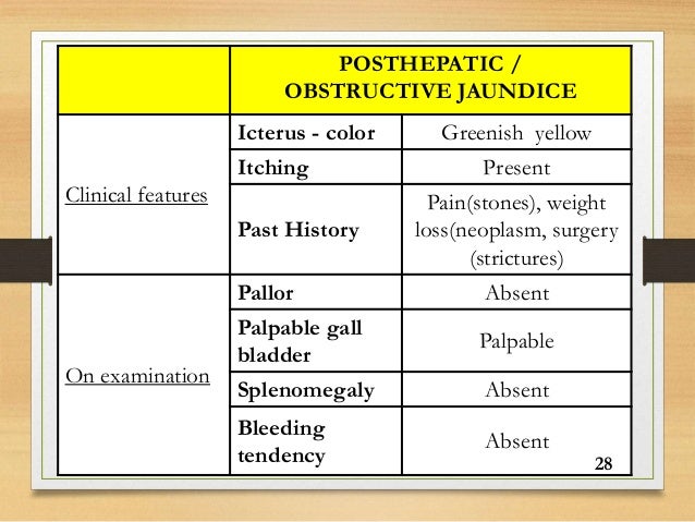 understanding LFT in the diagnosis and management of kamala