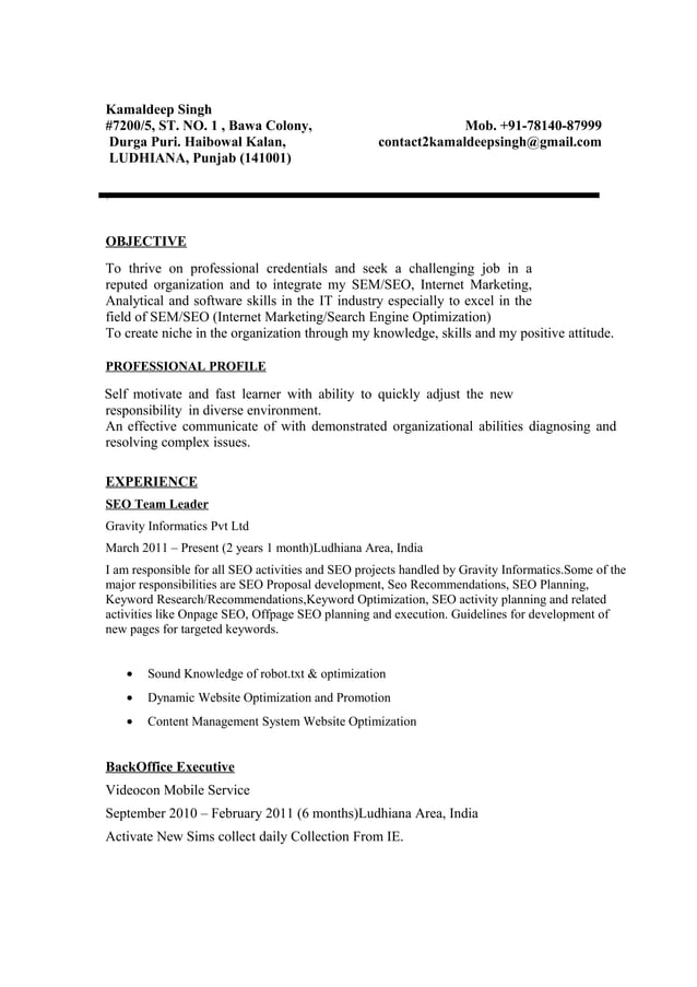 Kamaldeep singh SEO Resume Sample | PDF