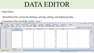 Introduction to the Research Method and SPSS | PDF