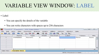 Introduction to the Research Method and SPSS | PDF