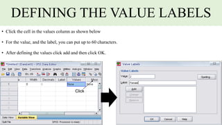 Introduction to the Research Method and SPSS | PDF
