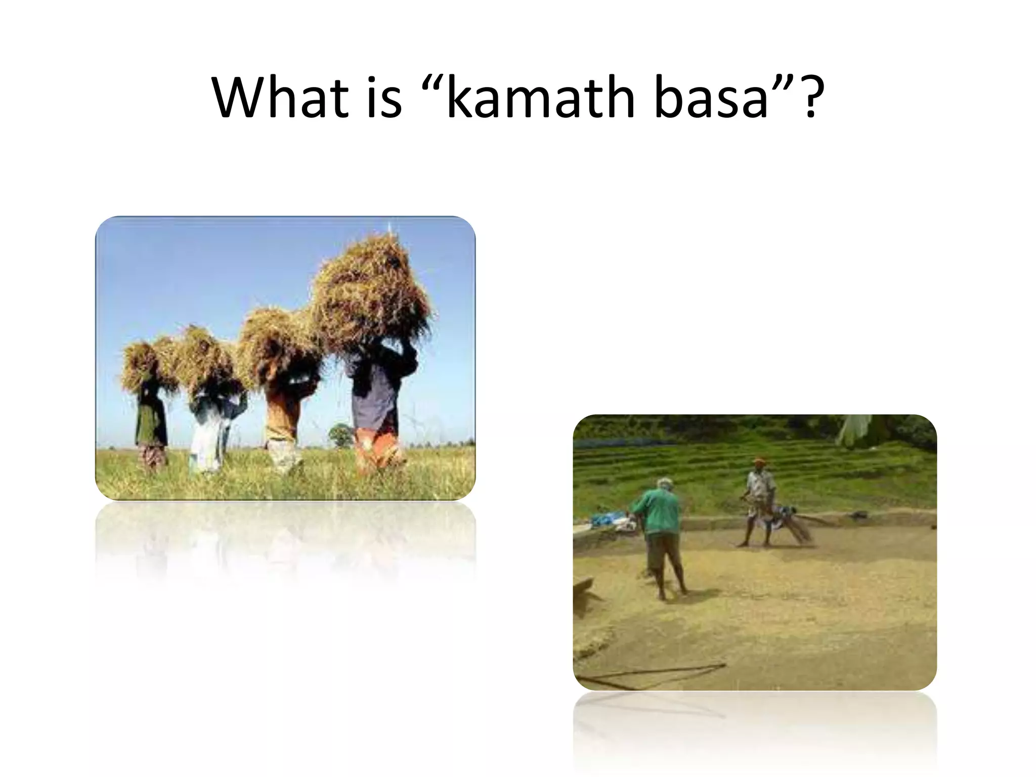 Kamath basa indigenous language of paddy culture in sri lanka | PPTX
